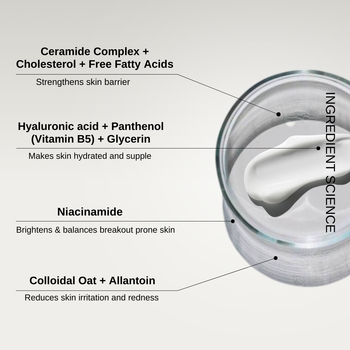 The Formularx Dermocosmetics - Skin Barrier Focused Sensitive Skincare ...